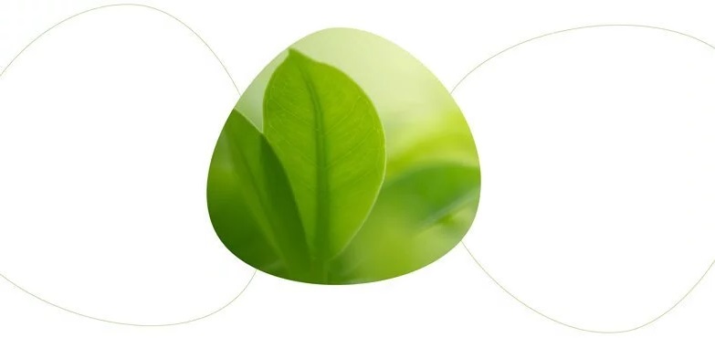 Natural look, silky and matt surfaces thanks to bio-based, sustainable ...